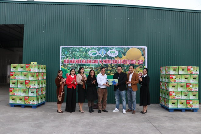 Les liens Vietnam-Europe maintiennent leur élan face à un environnement ...