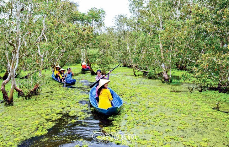 Cap sur une aventure unique en pirogue dans les mangroves d’U Minh Ha ...