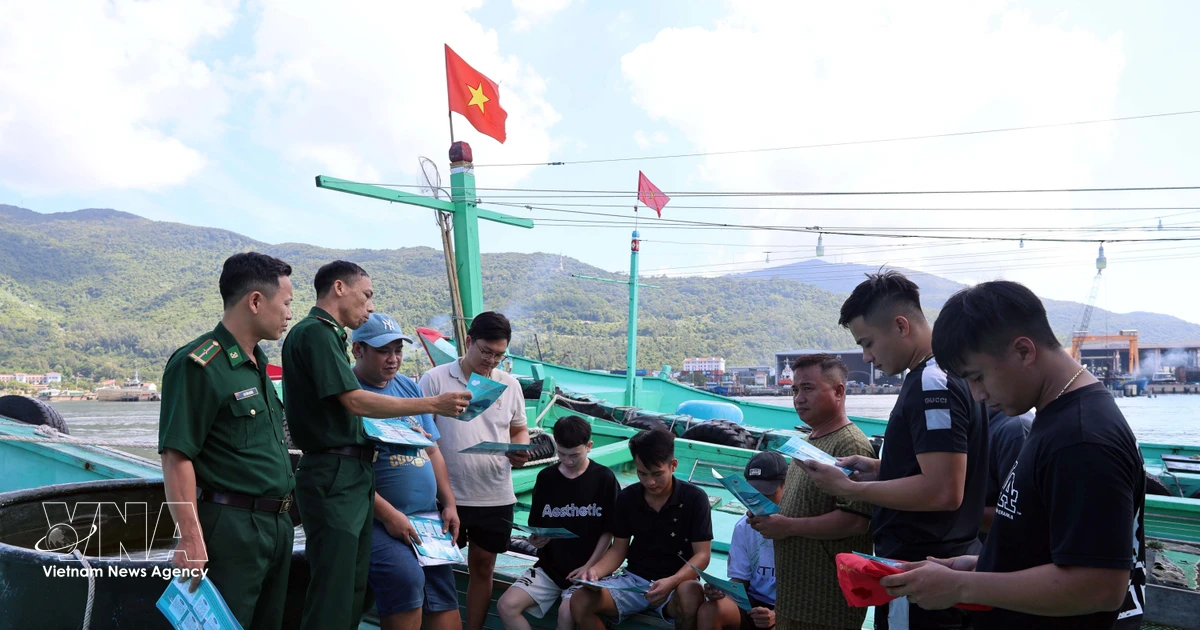 Da Nang renforce ses efforts contre la pêche illégale