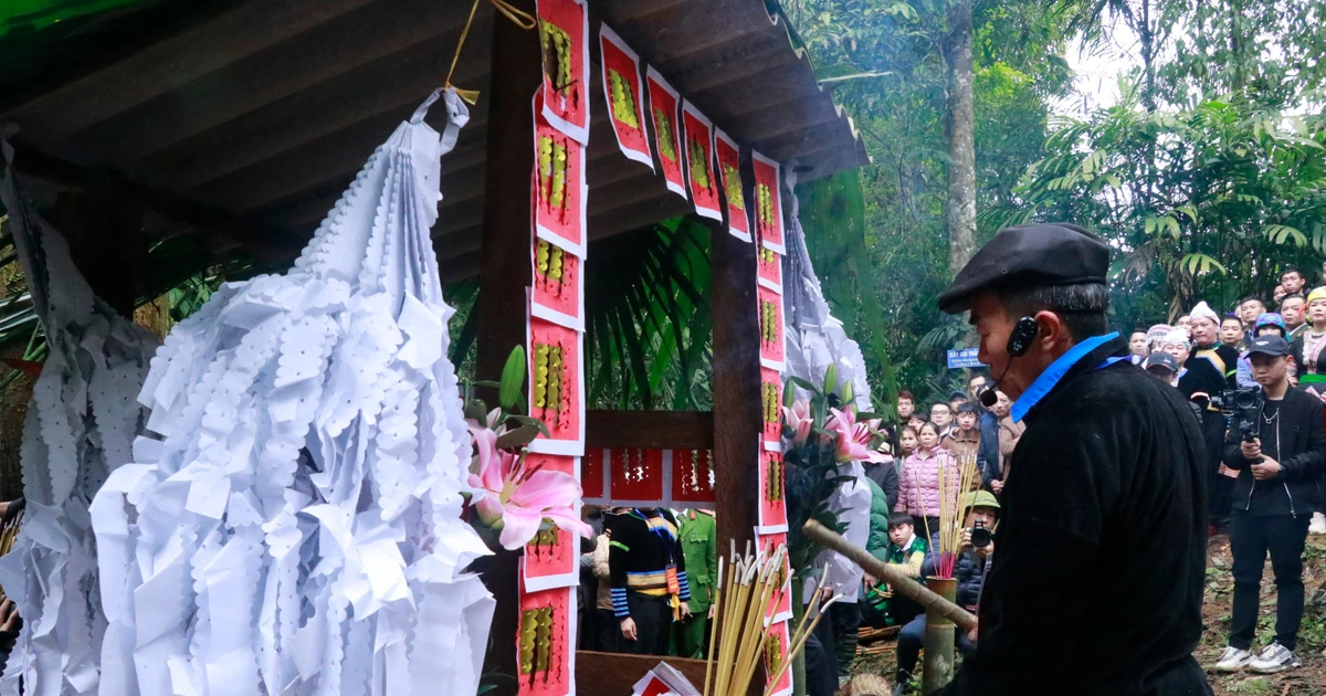 Un rituel unique : le culte de la forêt, tradition vivante des Mông de ...