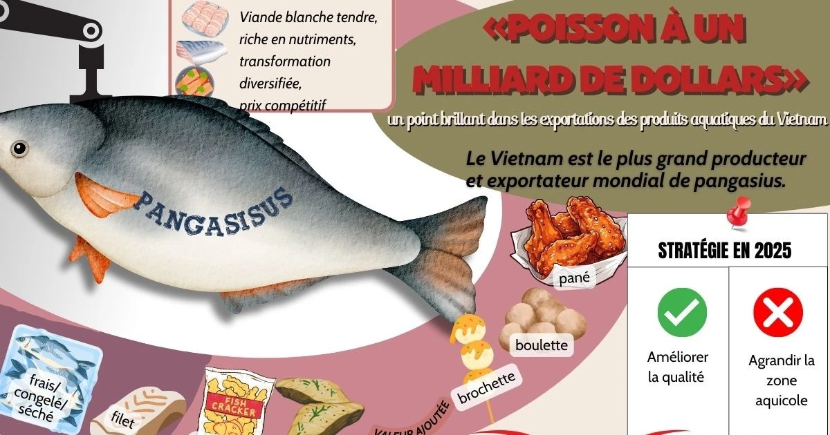 Pangasisus, «poisson à un milliard de dollars», un point brillant dans ...