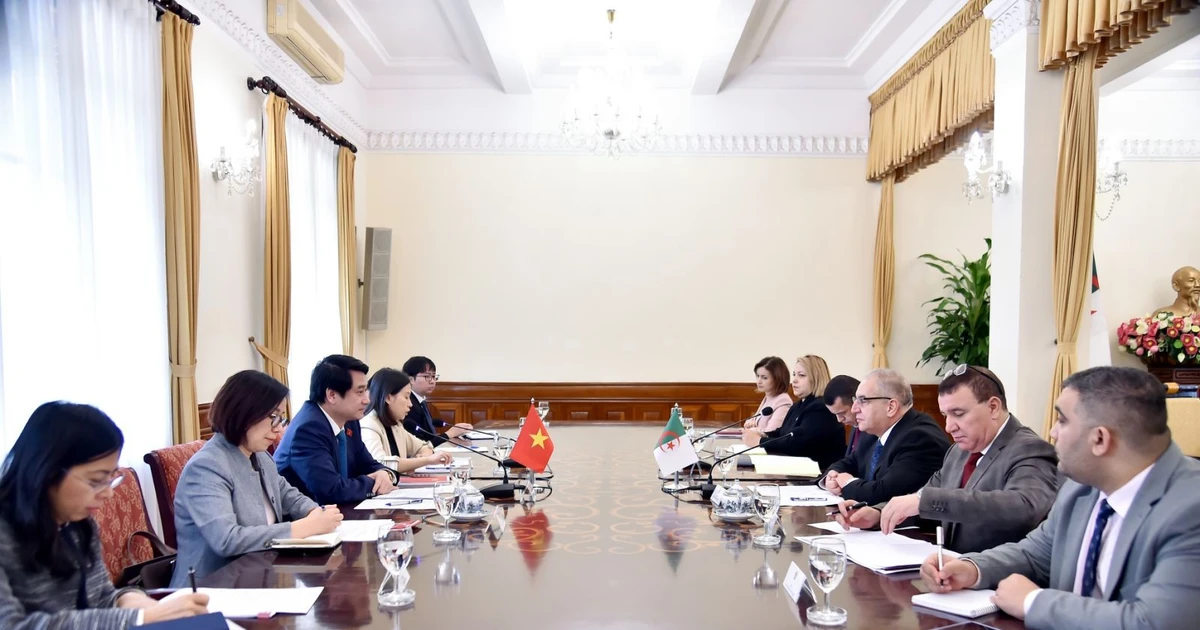 Le Vietnam et l'Algérie tiennent leur 4e consultation politique | Vietnam+ (VietnamPlus)