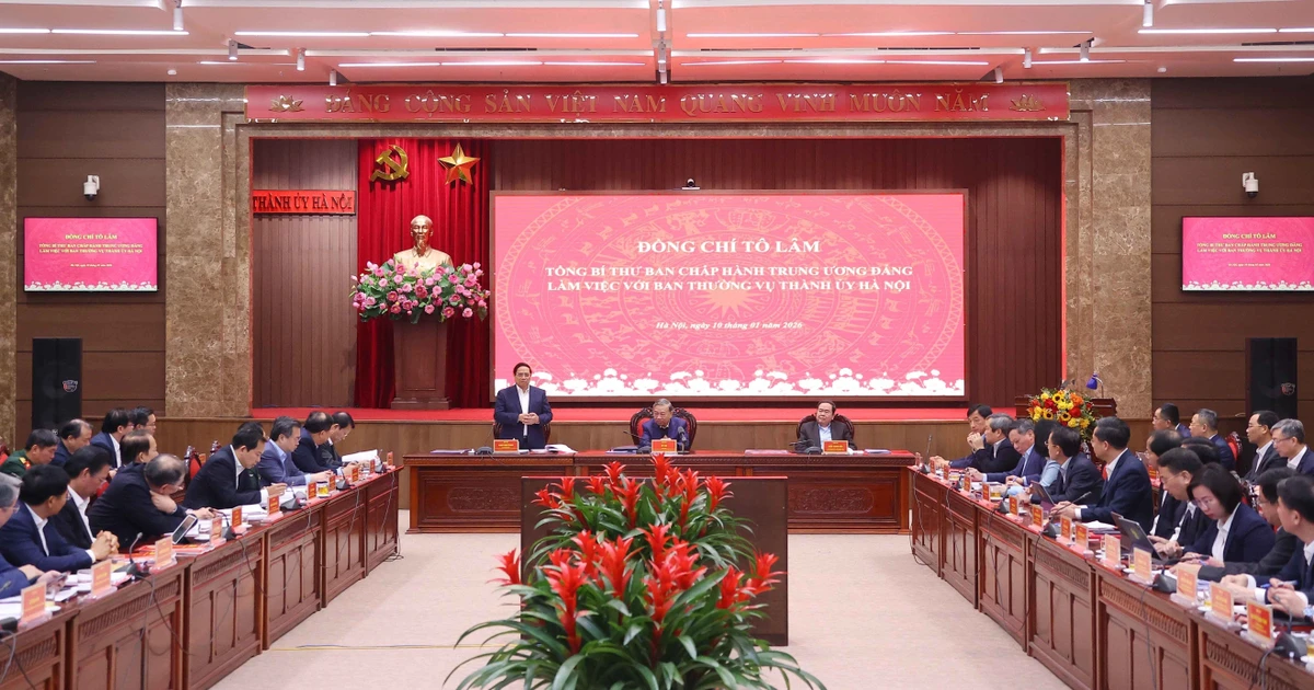 Un cadre juridique solide nécessaire au développement et à l’innovation de Hanoi | Vietnam+ ...