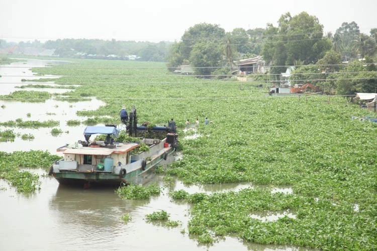 Journée mondiale de l'eau 2025 : Conservation et restauration des ...