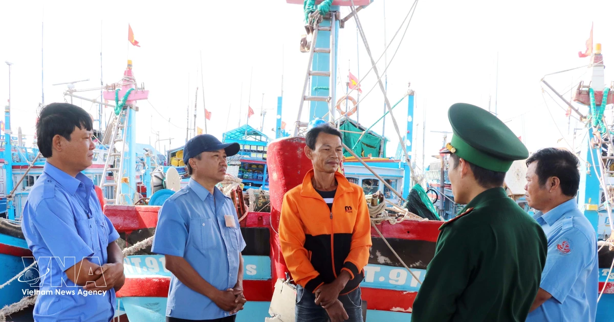 Vietnam : des mesures coordonnées pour obtenir la levée du « carton ...